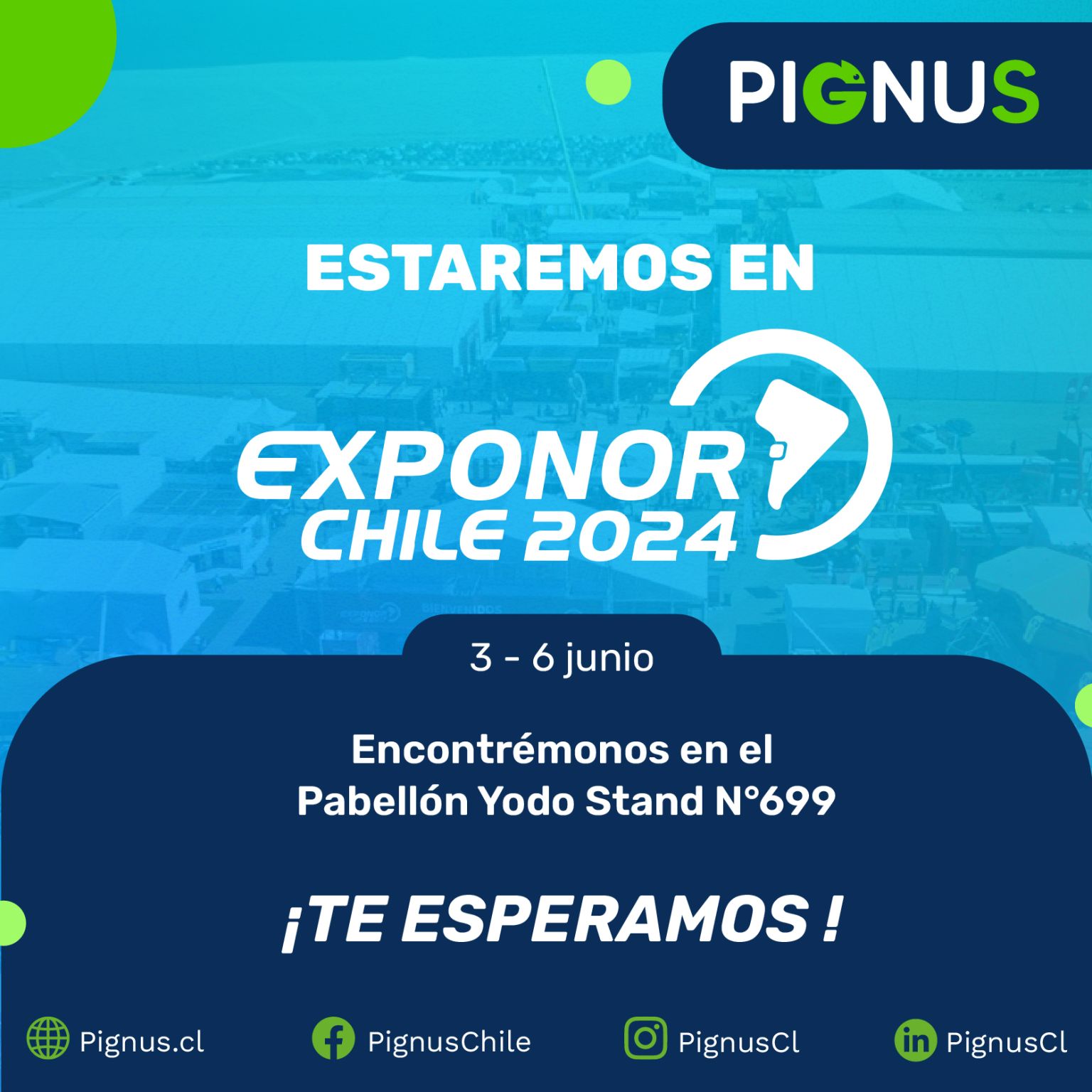 Estaremos en Exponor 2024 - PIGNUS